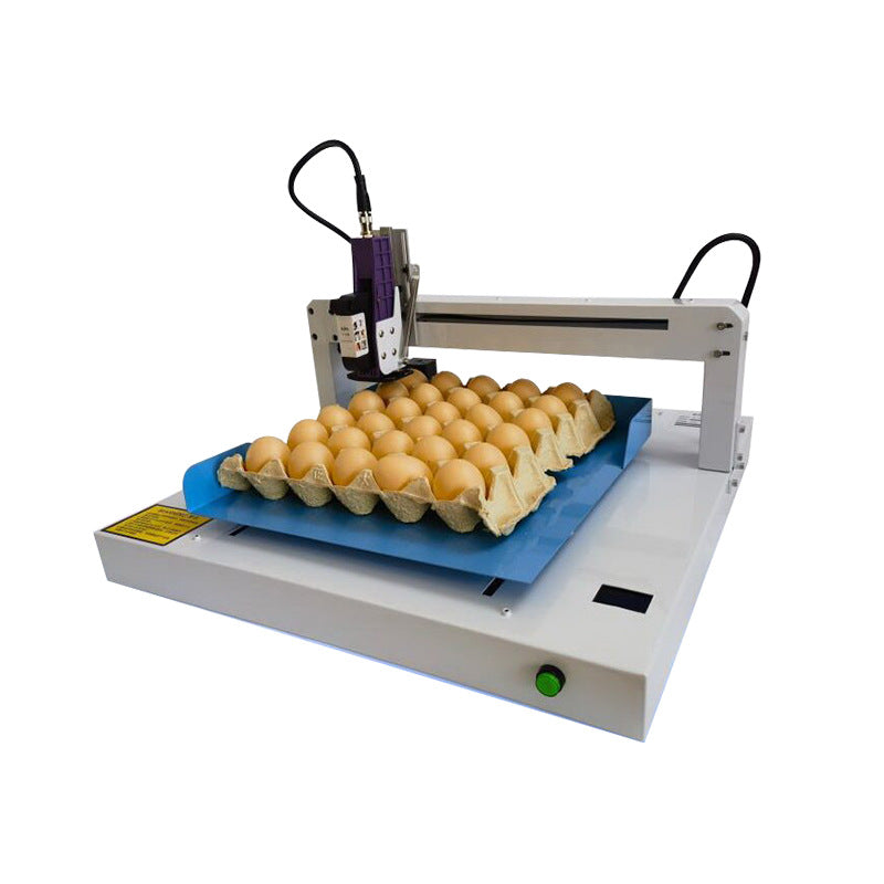 High Speed Egg Coding Machine Ink Jet Printer For Eggs – WM machinery