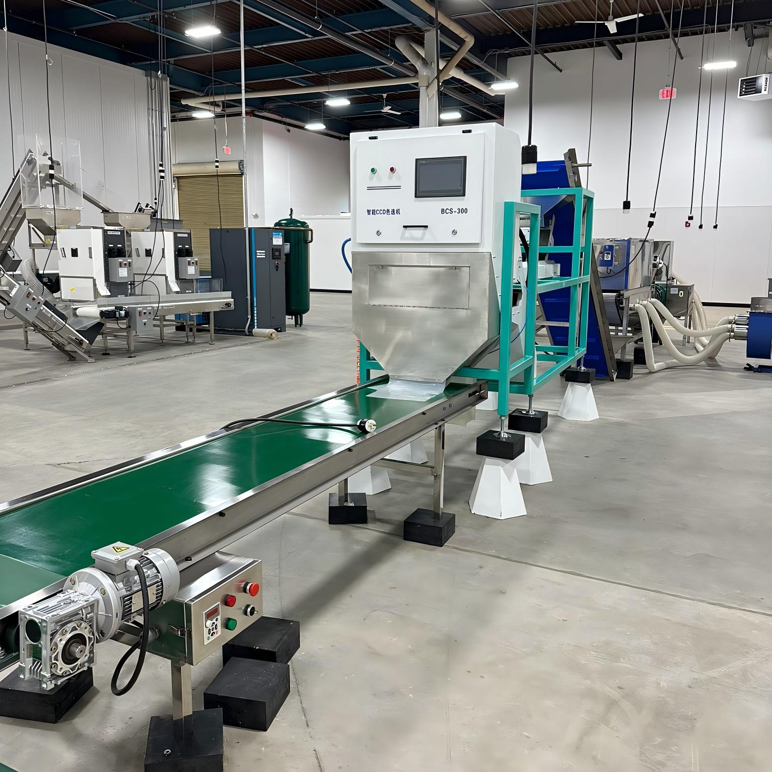 600kg per hourAutomatic Garlic clove Production Line – WM machinery