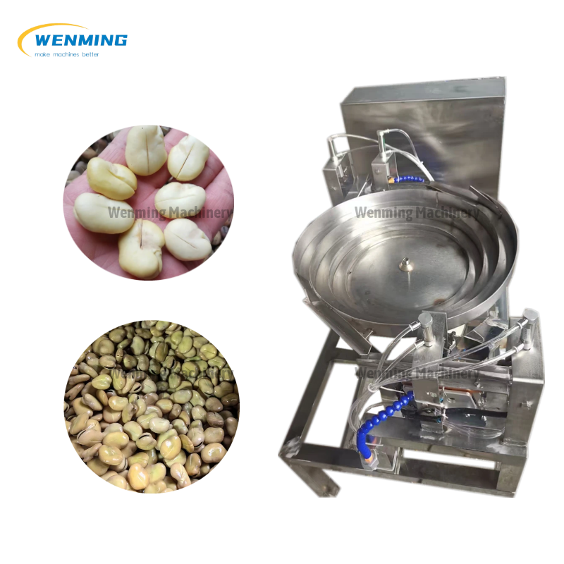 Broad Bean Cutter – WM machinery