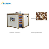 Multifunctional Chicken Egg Incubator For Sale and Chick Incubator Lar ...