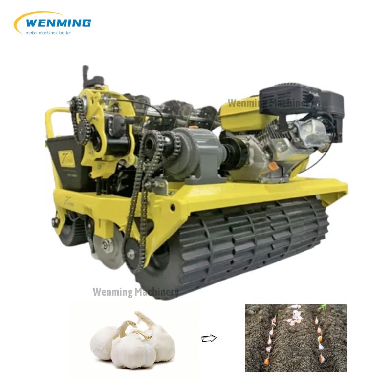 Garlic Processing Machines Garlic Peeling Machines Wenming – WM machinery
