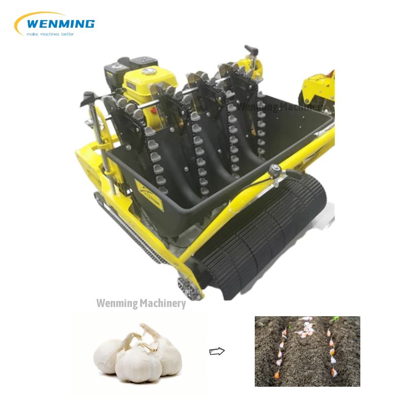 Garlic Processing Machines Garlic Peeling Machines Wenming – WM machinery