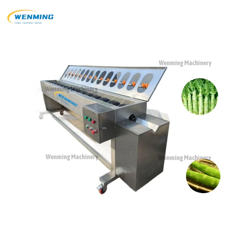 Powerful White Radishes Paring Machine Fresh Carrots Skin Peeling Mach ...