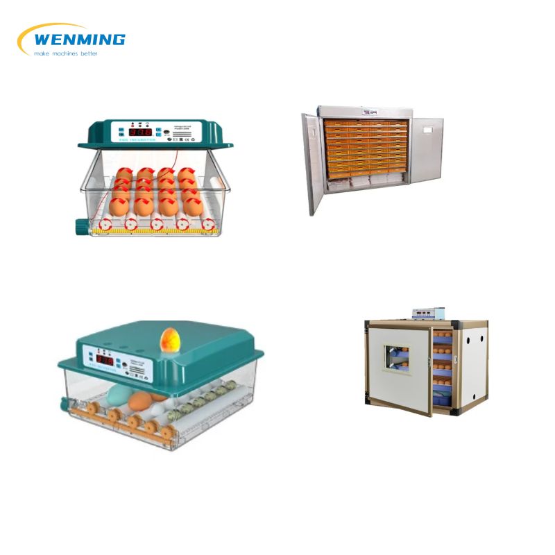 Fully Automatic Large Chick Incubator and Egg Incubator For Chickens ...