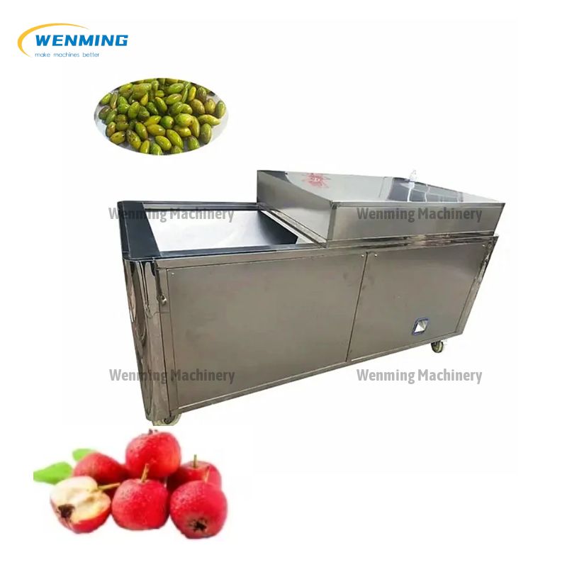 Professional automatic Fruit Seed Removal Machine good price for sale ...