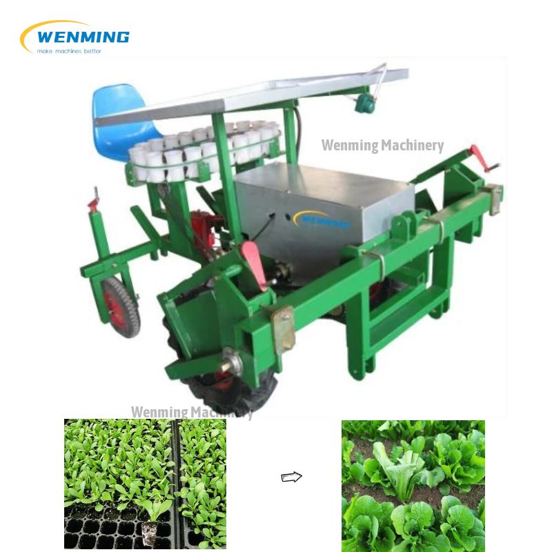 High Productivity Automatic Onion Transplanter Machine Cost-effective ...