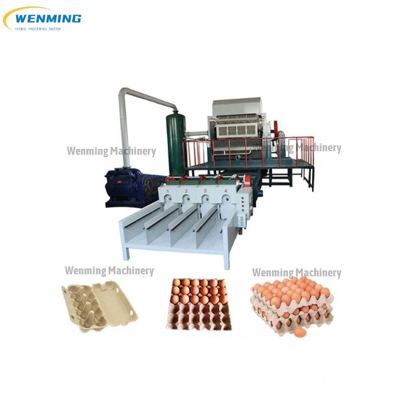 Egg Box Machine Egg Tray Molding Machine For Sale – WM machinery