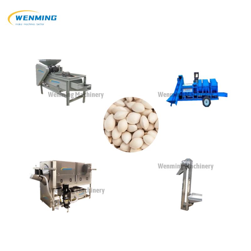 Automatic Pine Nut Shelling Machine Production Line Widely used – WM ...