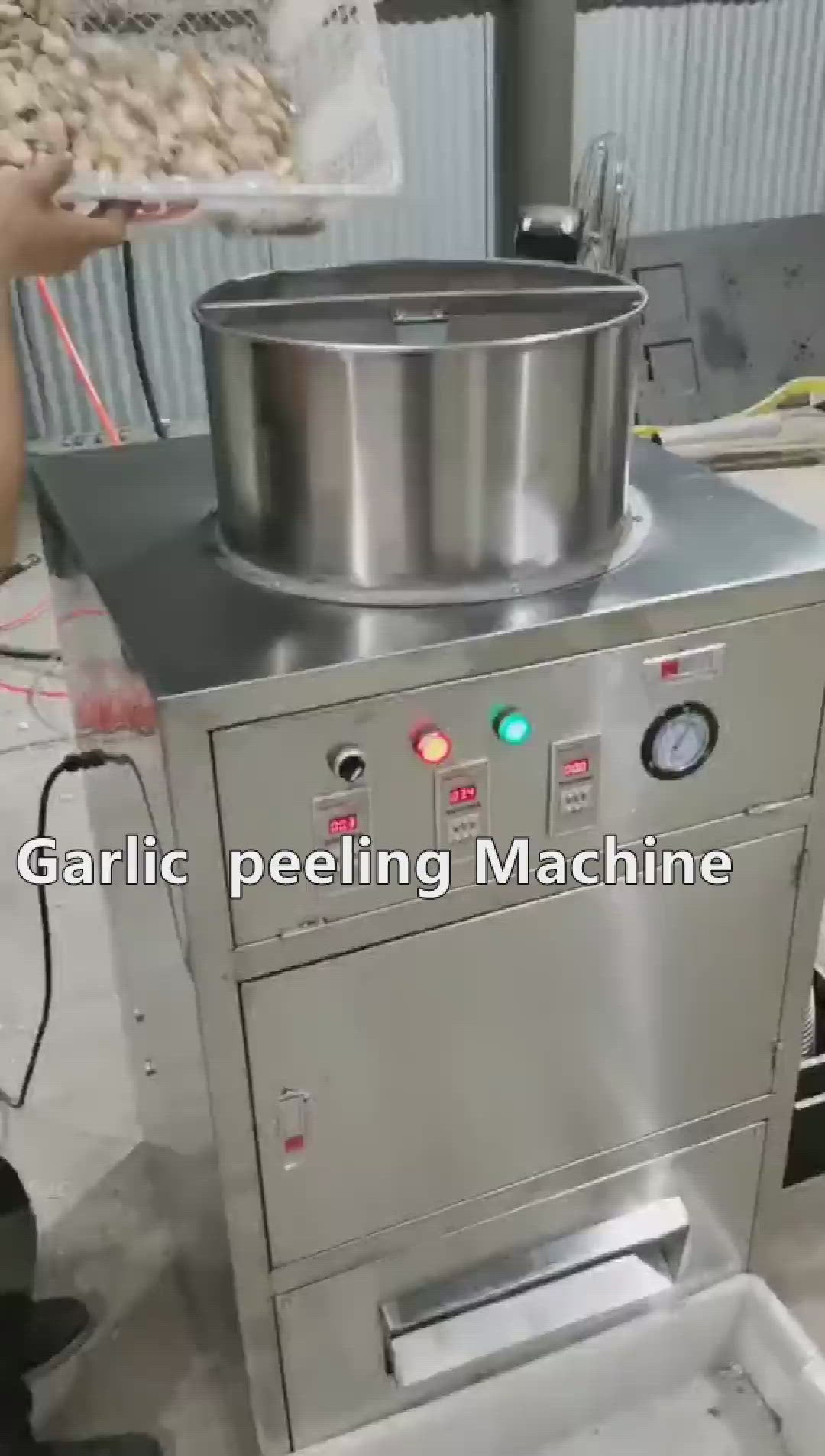 Garlic Processing Machines Garlic Peeling Machines Wenming – WM machinery
