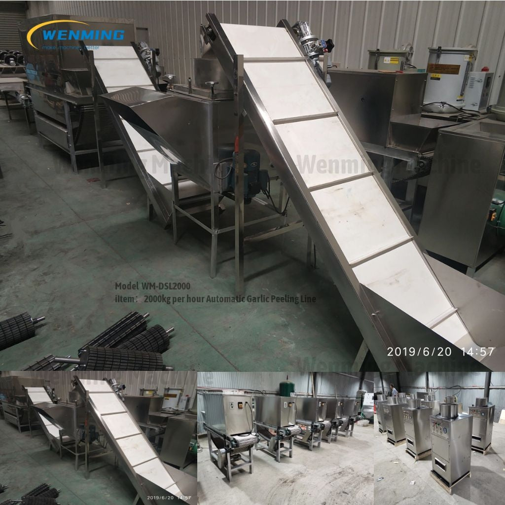 Garlic Processing Machines Garlic Peeling Machines Wenming – WM machinery