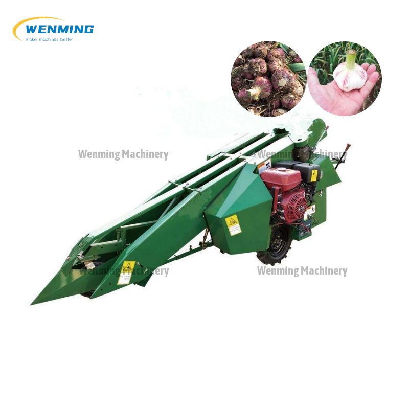 Garlic Processing Machines Garlic Peeling Machines Wenming – WM machinery