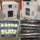 Black garlic making machine-garlic fermentation machine-black garlic ...