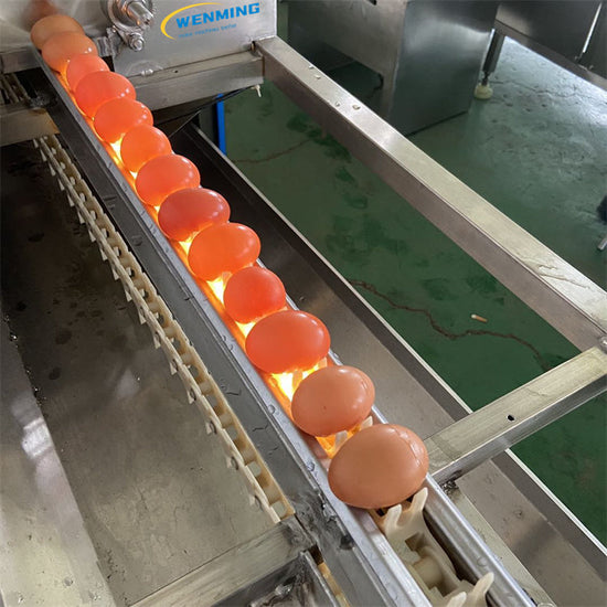 Commercial egg candler Egg candling machine for sale – WM machinery