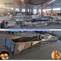 Automatic Egg Washing Machine-automatic egg washer-egg washing ...