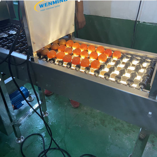 Commercial egg candler Egg candling machine for sale – WM machinery