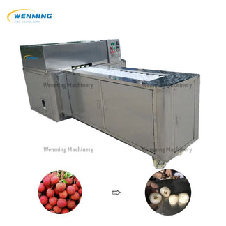 High Speed Litchi Pitting Machine Automatic Lychee Seed Removing Machi ...