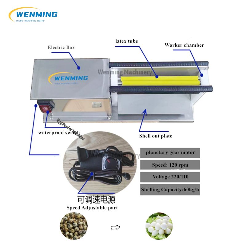 Egg Processing Machines-Wenming Machinery – WM machinery