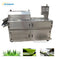 Automatic Aloe Vera Peeling Machine Factory Price – WM machinery