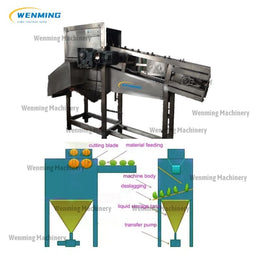 Coconut Cutting Machine Automatic coconut water extraction machine – WM ...