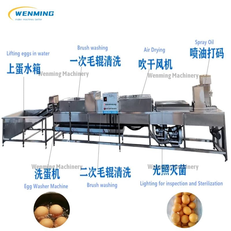 Egg Processing Machines-Wenming Machinery – WM machinery