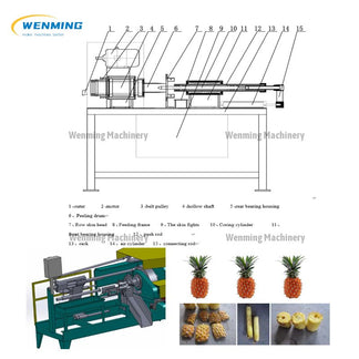 Pineapple Machine peel and core pineapple automatic – WM machinery
