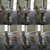 Automatic Young Coconut peeling machine – WM machinery