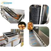 Automatic Egg Washing Machine-automatic egg washer-egg washing ...