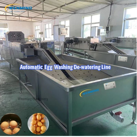 Automatic Egg Washing Machine-automatic egg washer-egg washing ...