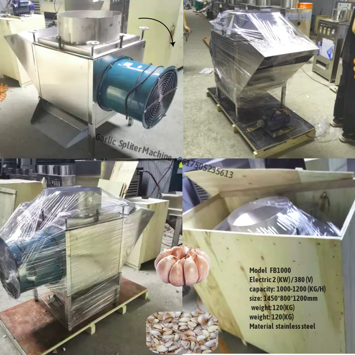 Garlic Processing Machines Garlic Peeling Machines Wenming – WM machinery