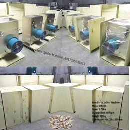 400-800kg/h Garlic separator machine – WM machinery