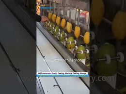 Industrial 16 Heads Mango Peeler Machine – WM machinery