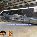 Automatic Egg Washing Machine-automatic egg washer-egg washing ...